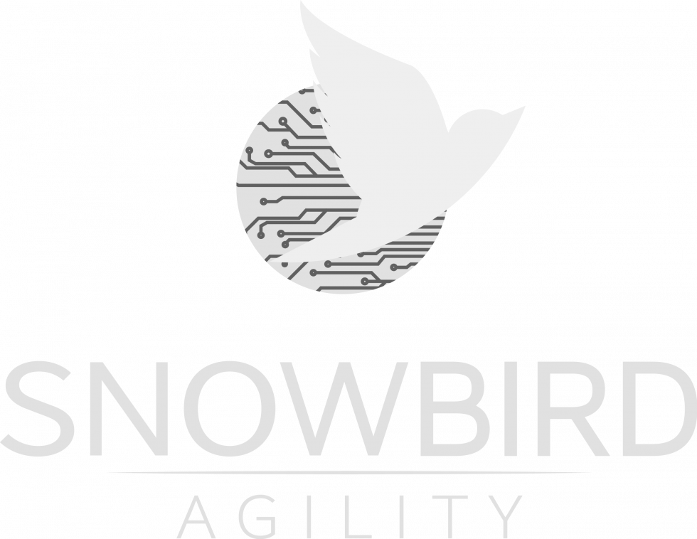 Snowbird Agility - Digital Transformation, PMO Support and Application ...