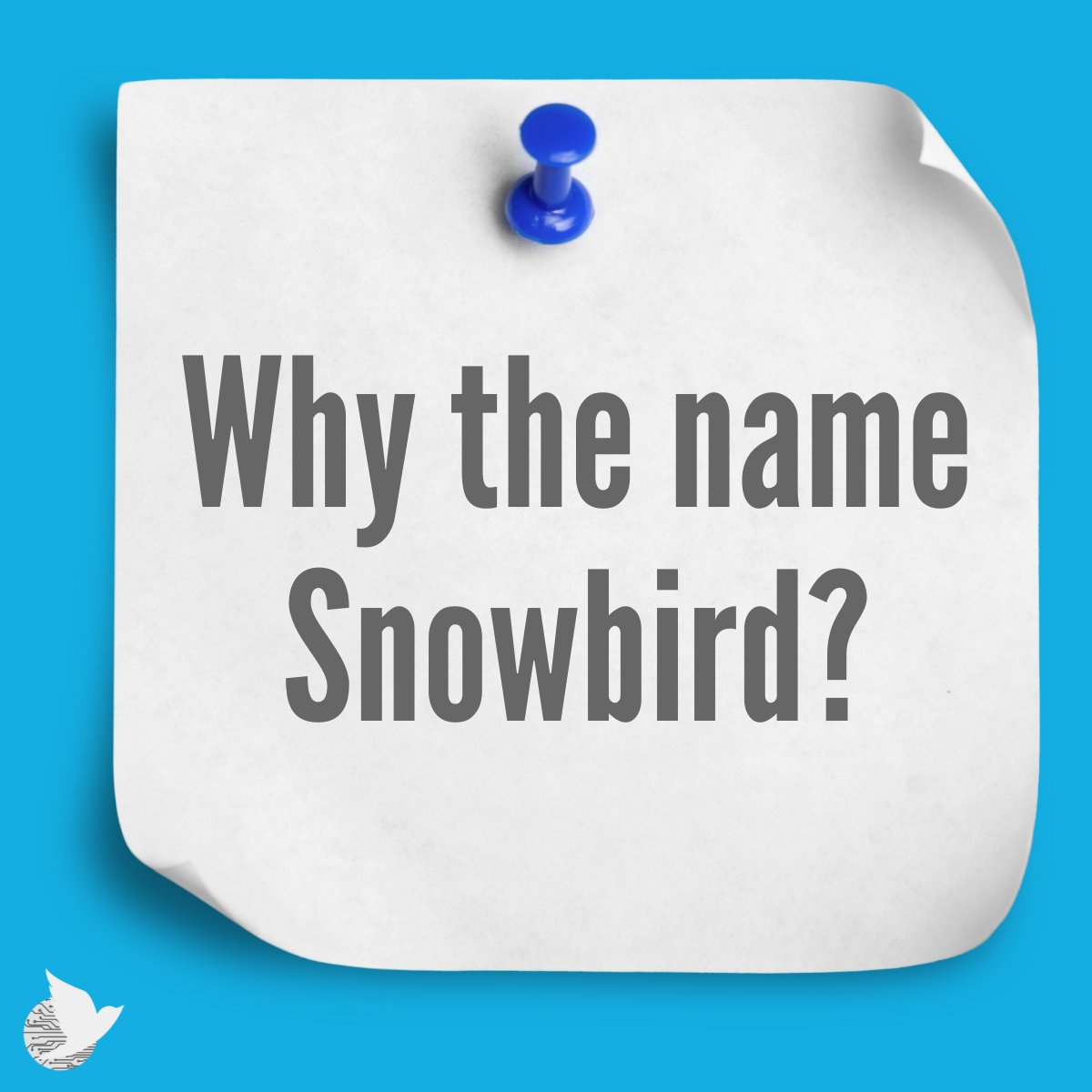 Why did we name our company Snowbird? - Snowbird Agility