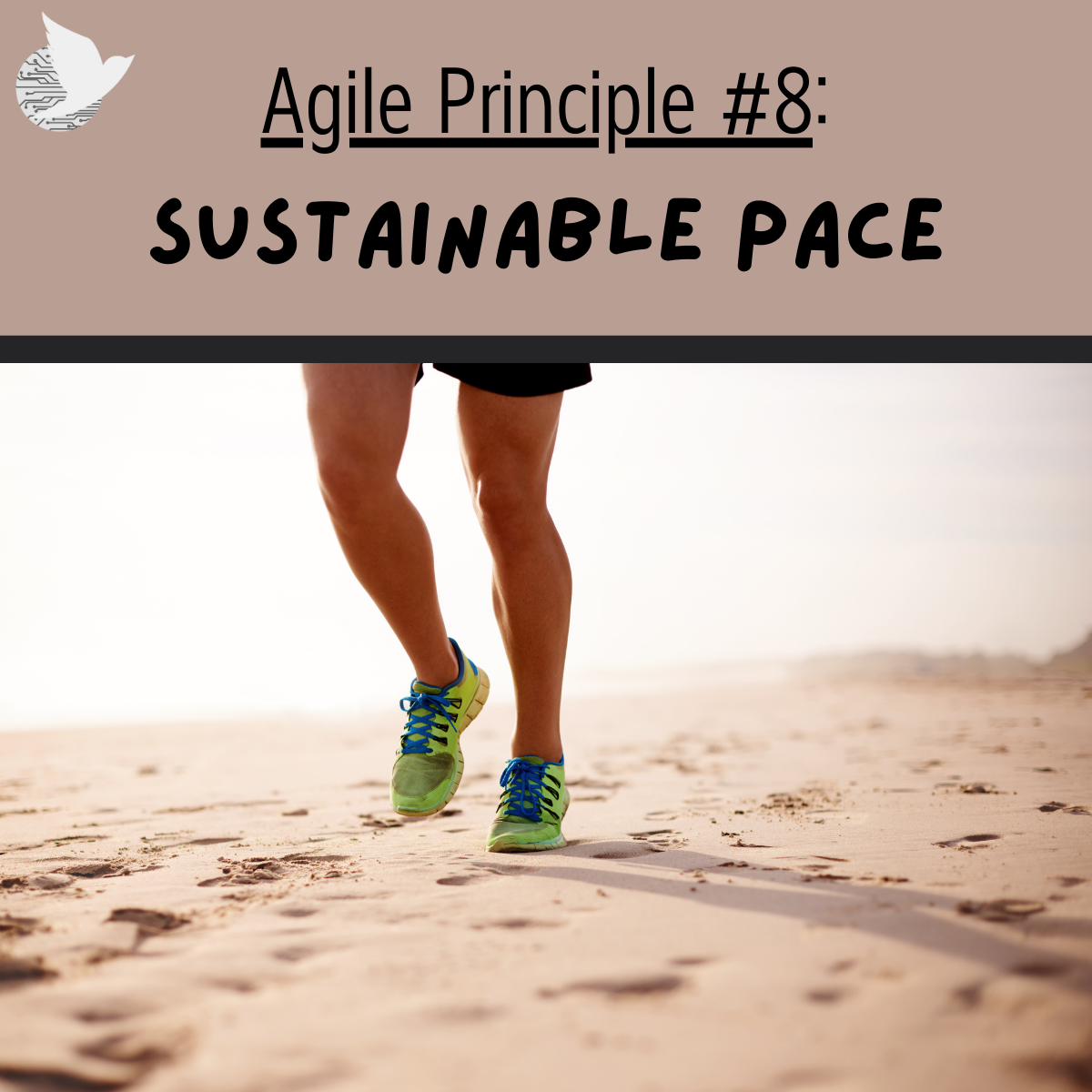 Principle 8: Ensuring Sustainable Pace – The Agile Way - Snowbird Agility