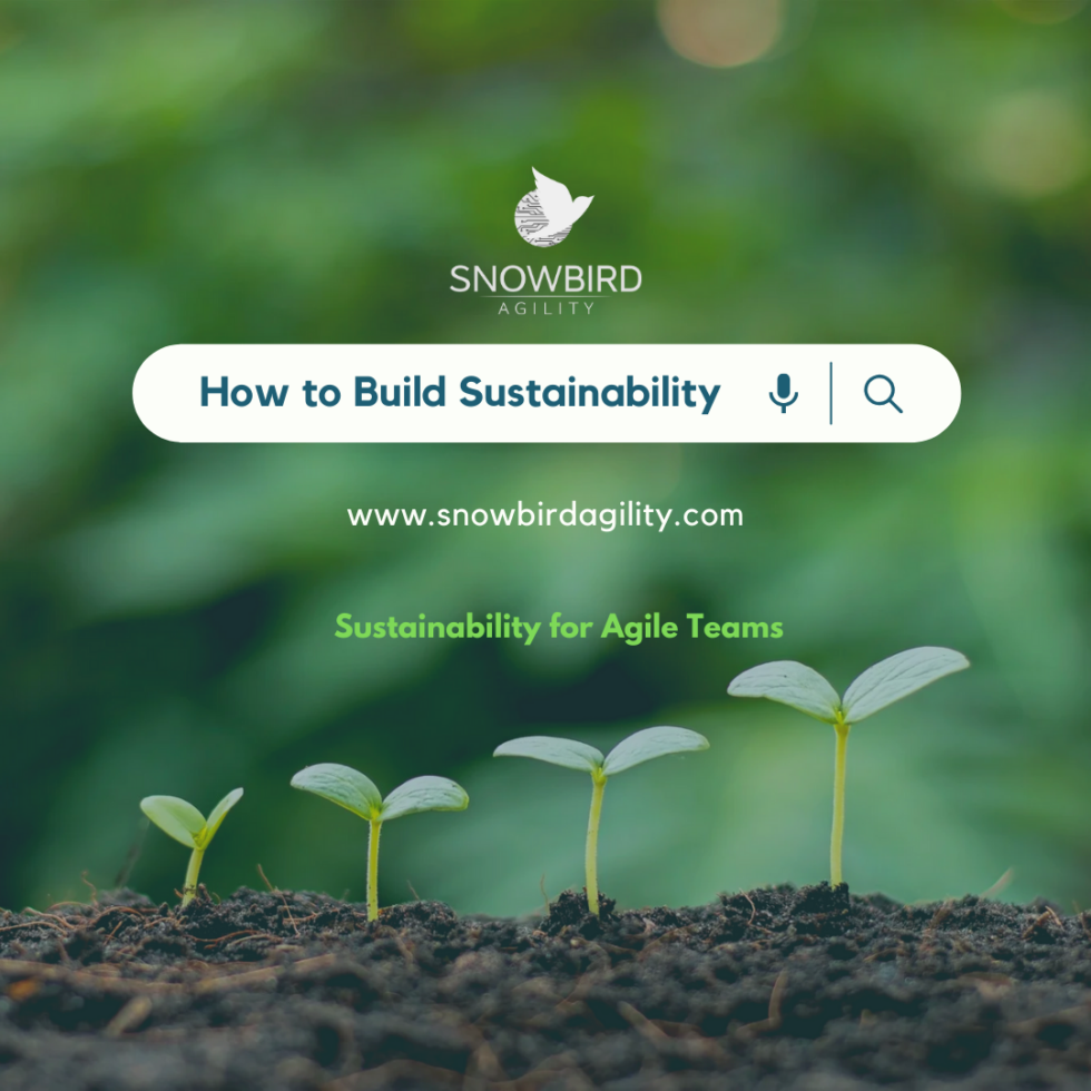 Principle 6: Face-to-Face Communication – The Agile Way - Snowbird Agility